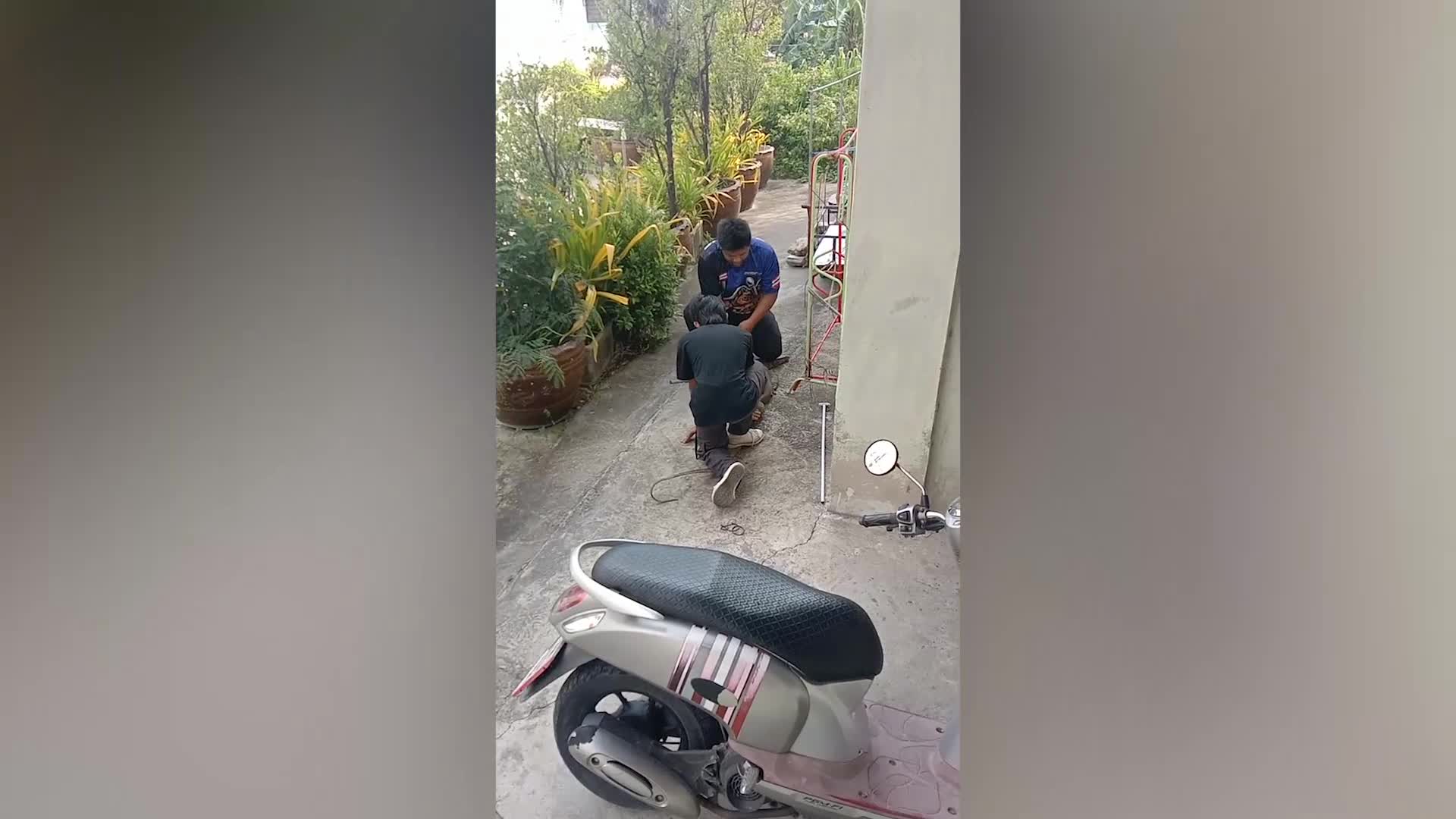 Female passenger sparks outrage after flashing breasts on flight in ...