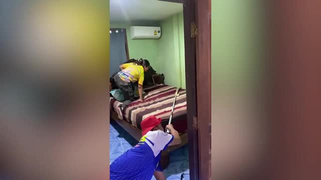 Snake wranglers catch huge python in bedroom - ViralPress