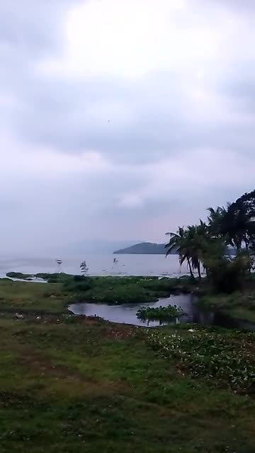 Volcanic smog alert raised as Taal Volcano spews sulfur dioxide anew in ...