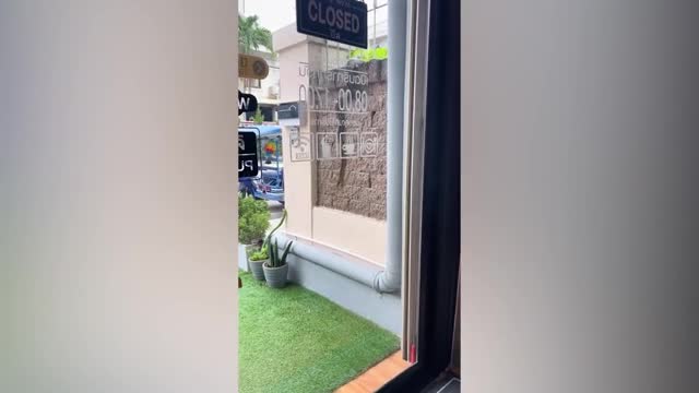 Huge python slithers across wall outside shop in Thailand - ViralPress