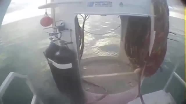 Sunken submarine was Nazi u boat that 'helped Hitler flee Germany ...