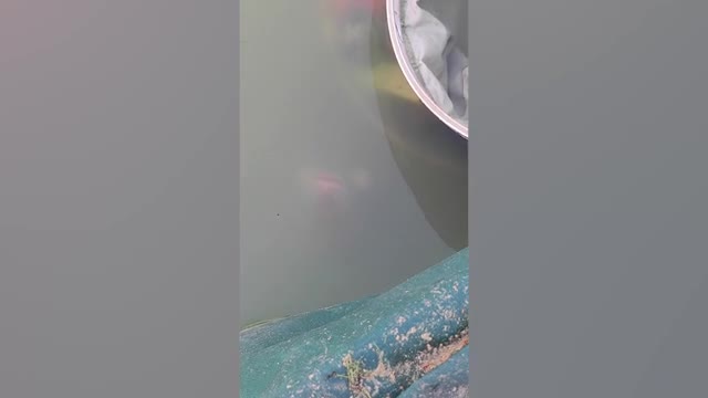 Mutant fish with bulging eyes emerges from toxic water in China ...