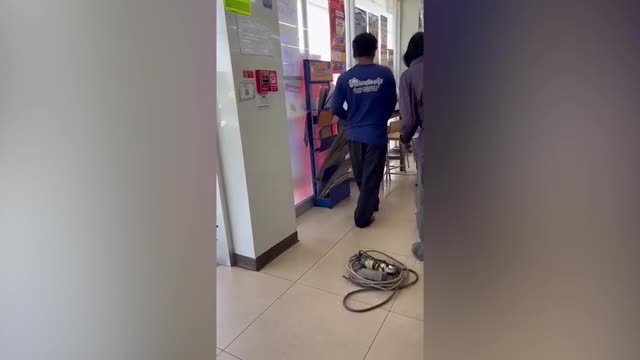 Workers extract kitten stuck inside wall - ViralPress