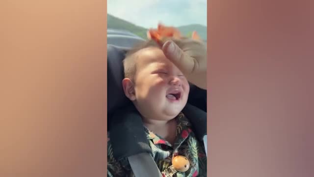 Adorable baby laughs when mum dabs makeup puff on his face - ViralPress