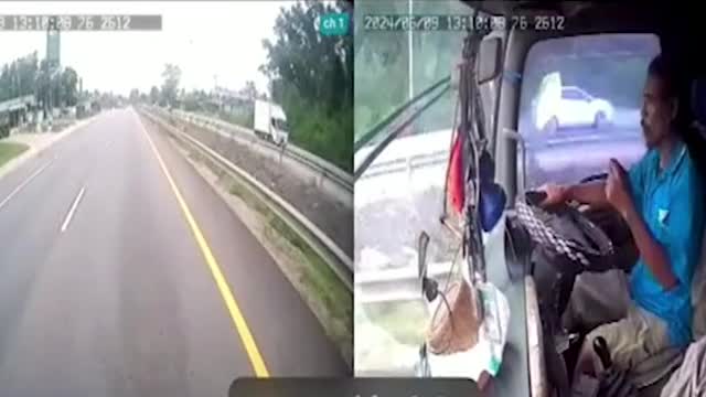 Heroic pet pit bull dogs defuse tense road rage incident - ViralPress