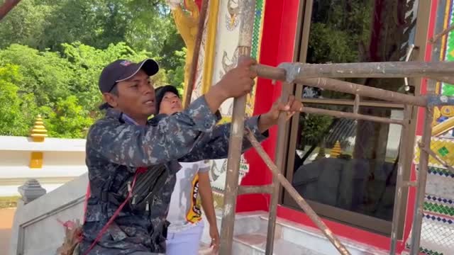 Expert honey hunter removes giant bee hive on temple ceiling - ViralPress