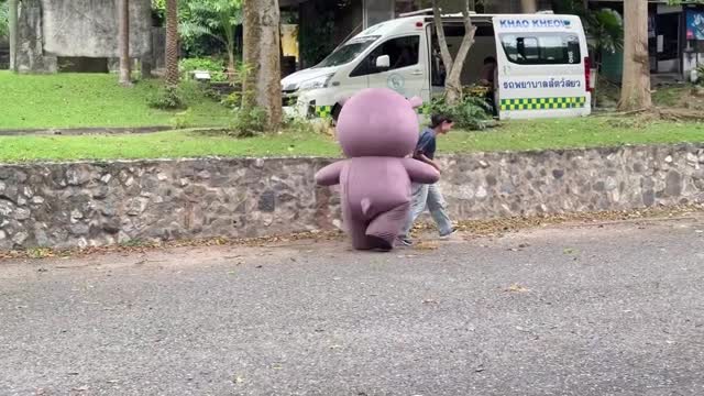 Zoo staff rehearse from baby hippo Moo Deng escaping from enclosure ...